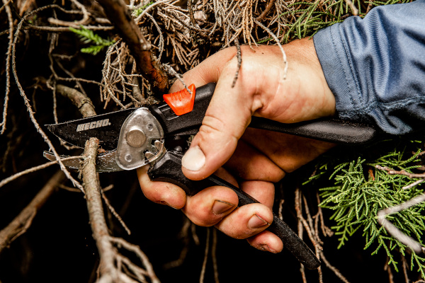 Echo Equipment » King Ranch Ag & Turf
